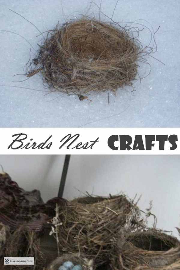 Birds Nest Crafts - the intricate structure of a wild birds home