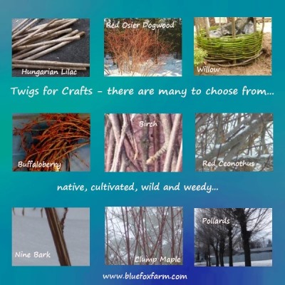 Twigs for Crafts; which is the best for rustic diy?