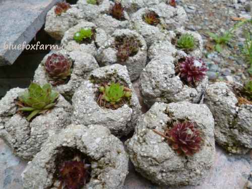 Hypertufa Thumb Pots - unique little wedding favors