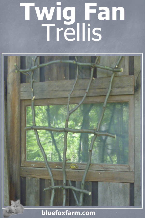 Twig Fan Trellis; classic plant support with a rustic twist