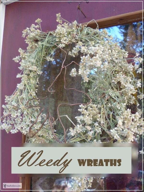 Weedy Wreaths; don't waste the weeds, they're perfectly good crafting ... Weedy Wreaths; don't waste the weeds, they're perfectly good crafting ...