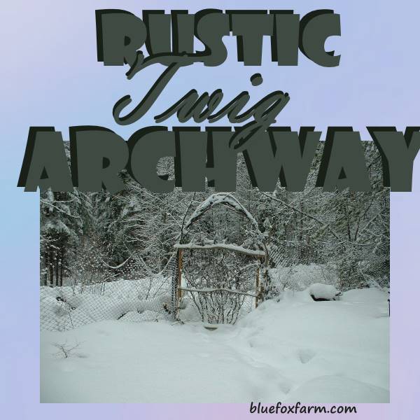 Twig Archway; a rustic tunnel or arch for your garden vines