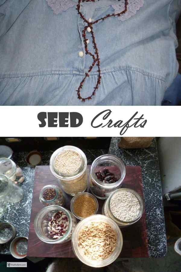 Seed Crafts - seed pods, capsules, acorns and nuts for crafts