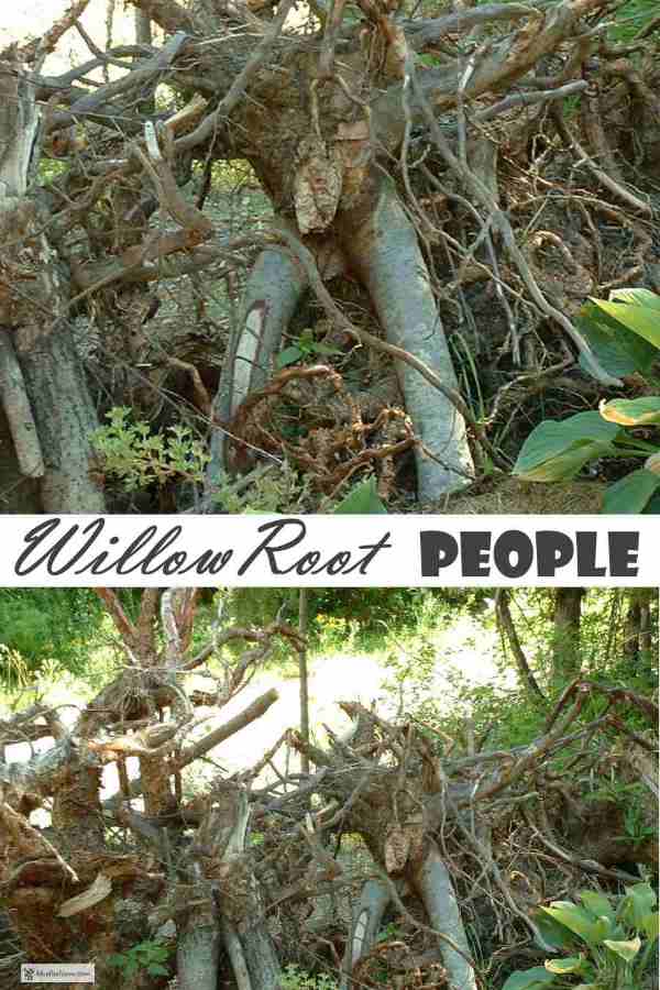 Willow Root People; strange and primitive beings in my garden